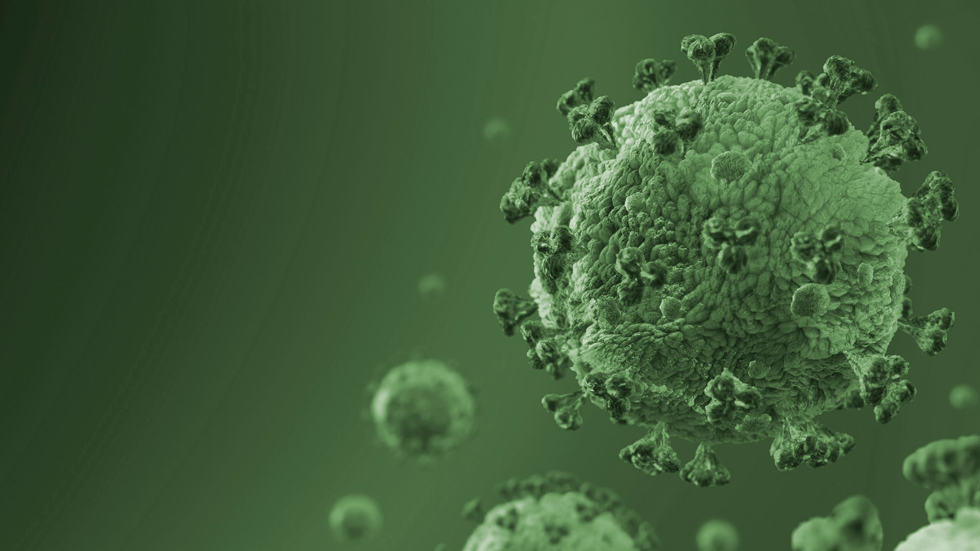 UBAA – União Brasileira de Advocacia Ambiental