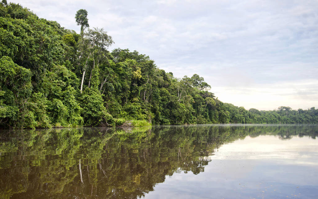 Coluna do Associado – UBAA